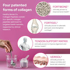 collagen type 2 for improved mobility