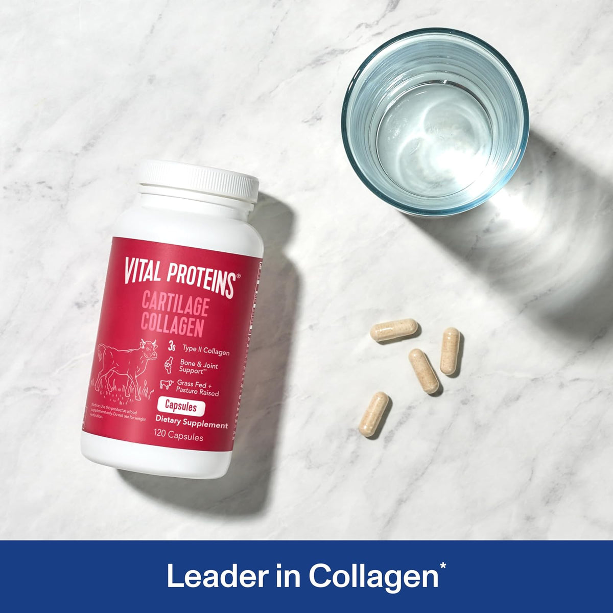 collagen type 2 for joint health