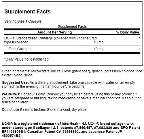 collagen type 2 for joint health