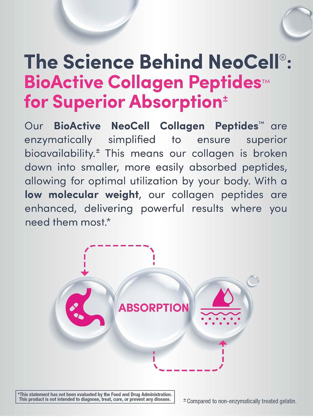 collagen type 2 for joint support