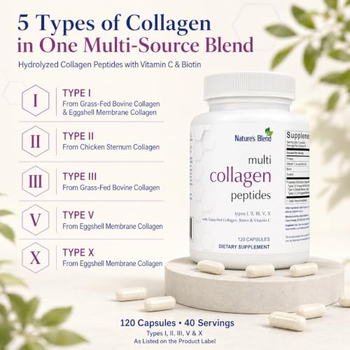 collagen type 2 for joint support