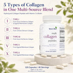 collagen type 2 for joint support
