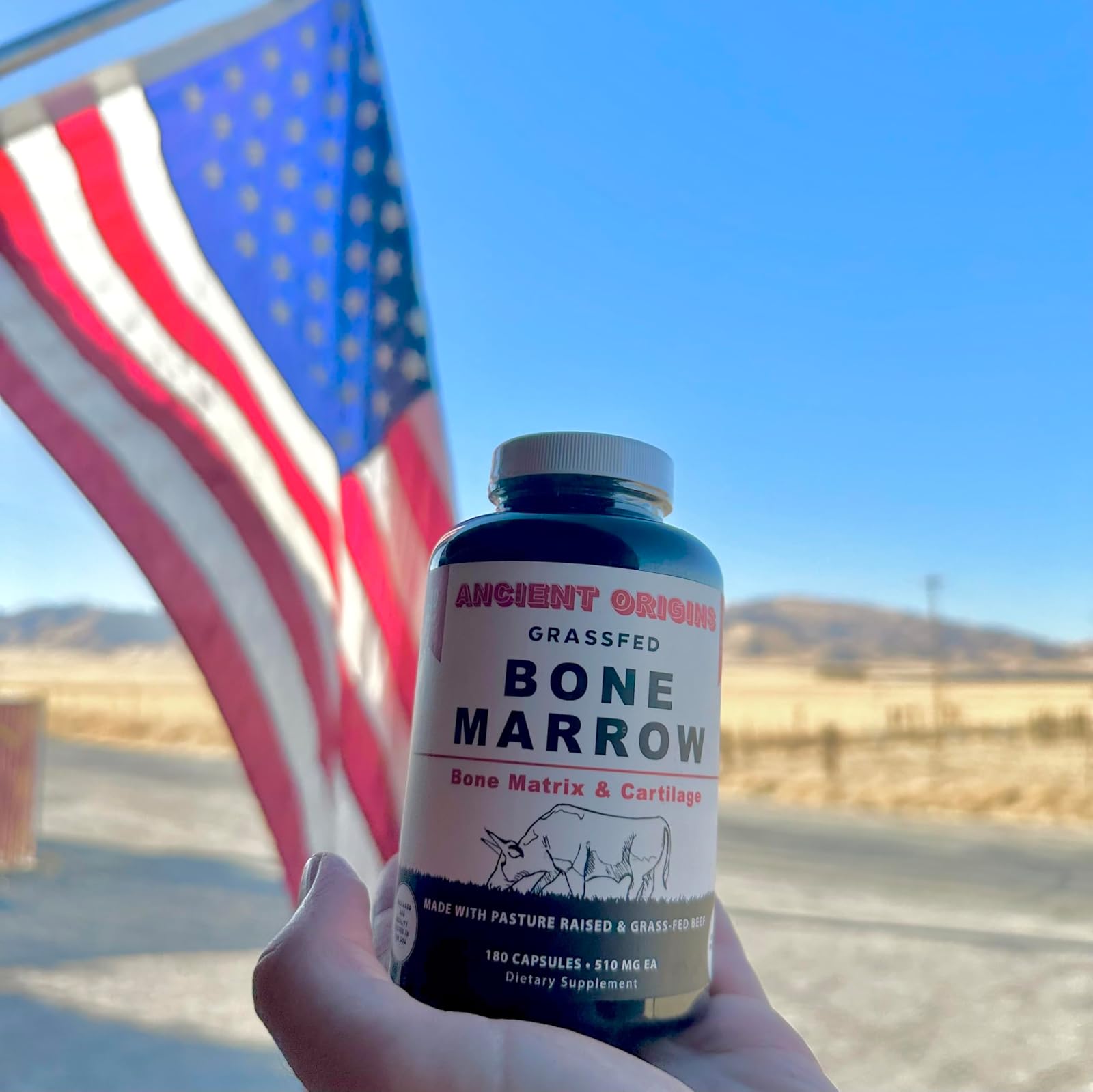 collagen type 2 for joint support