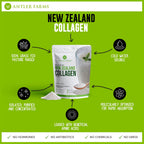 collagen type 2 for joint support