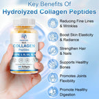 collagen type 2 for joint support