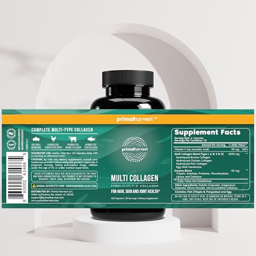 collagen type 2 for joint support
