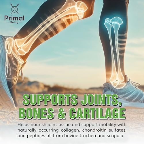 collagen type 2 for mobility