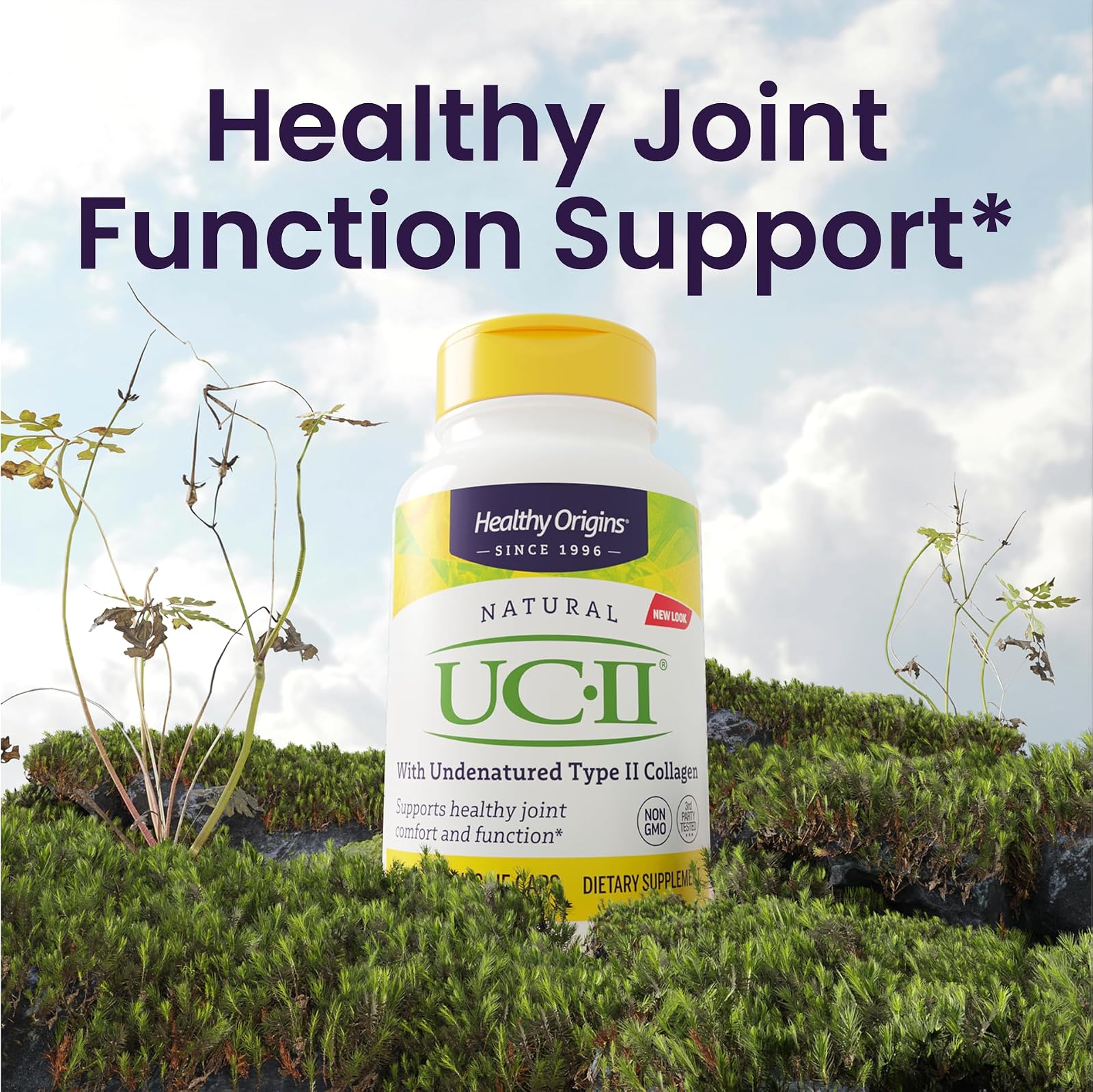 collagen type 2 for mobility