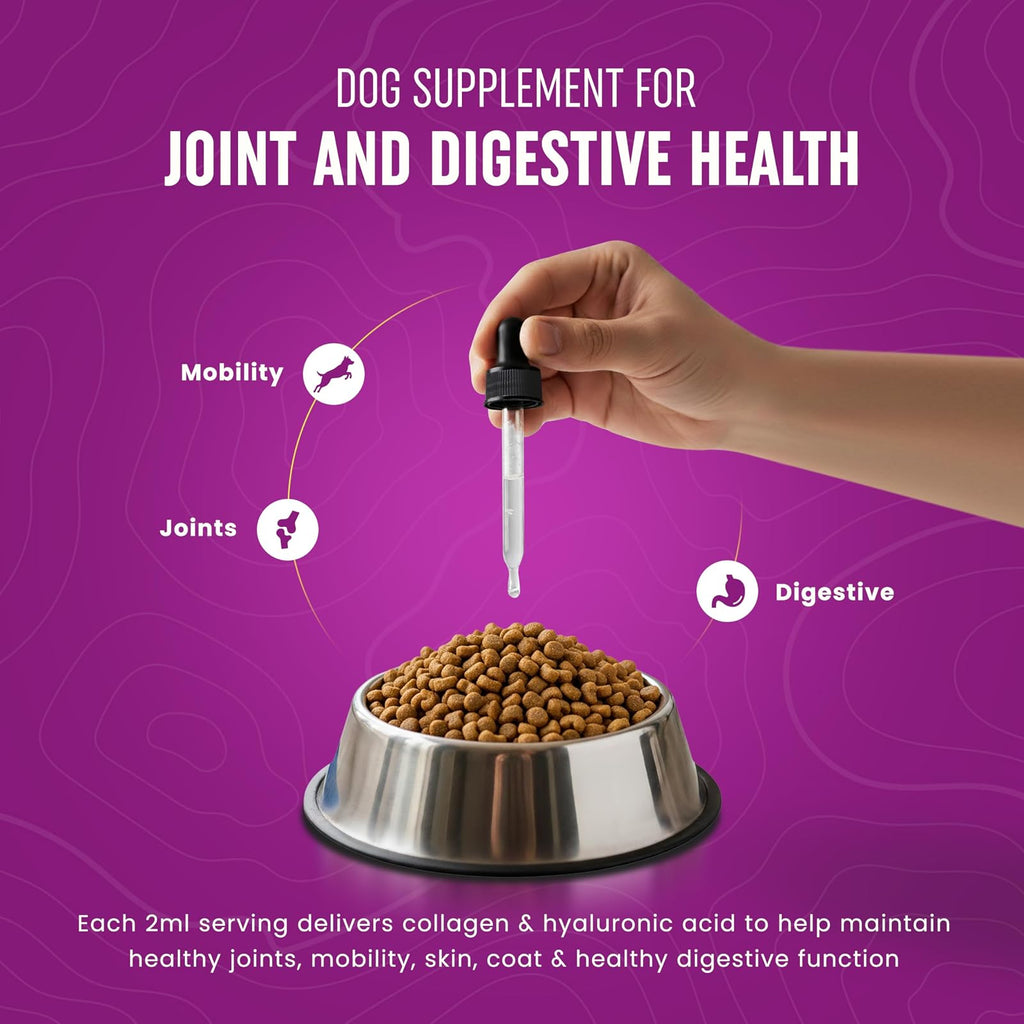 collagen type 2 for pets