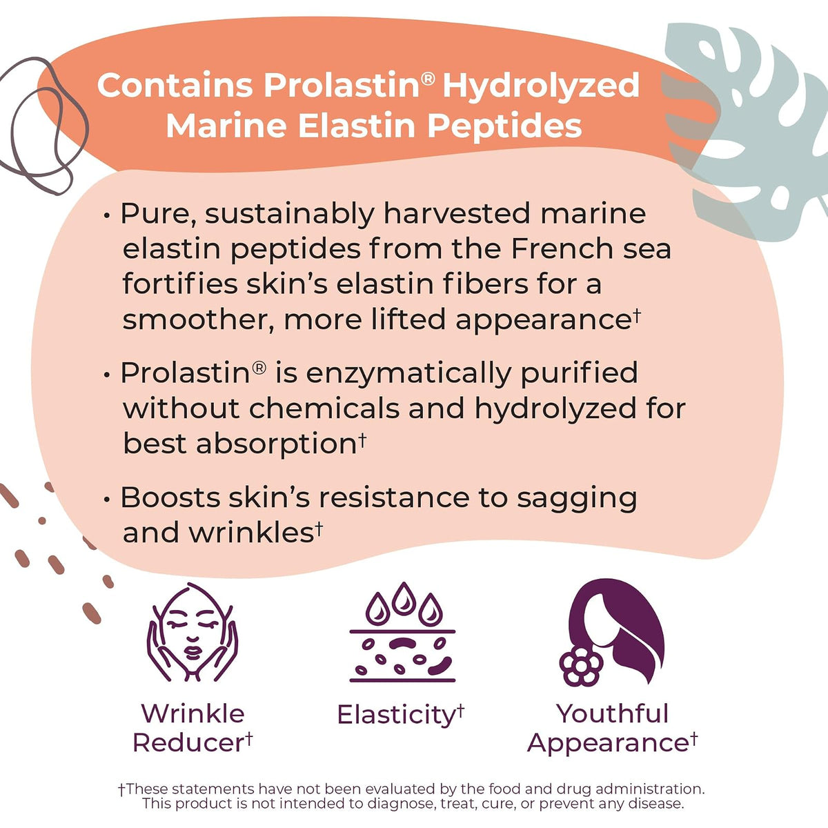 collagen type 2 for skin health
