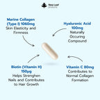 collagen with hyaluronic acid benefits