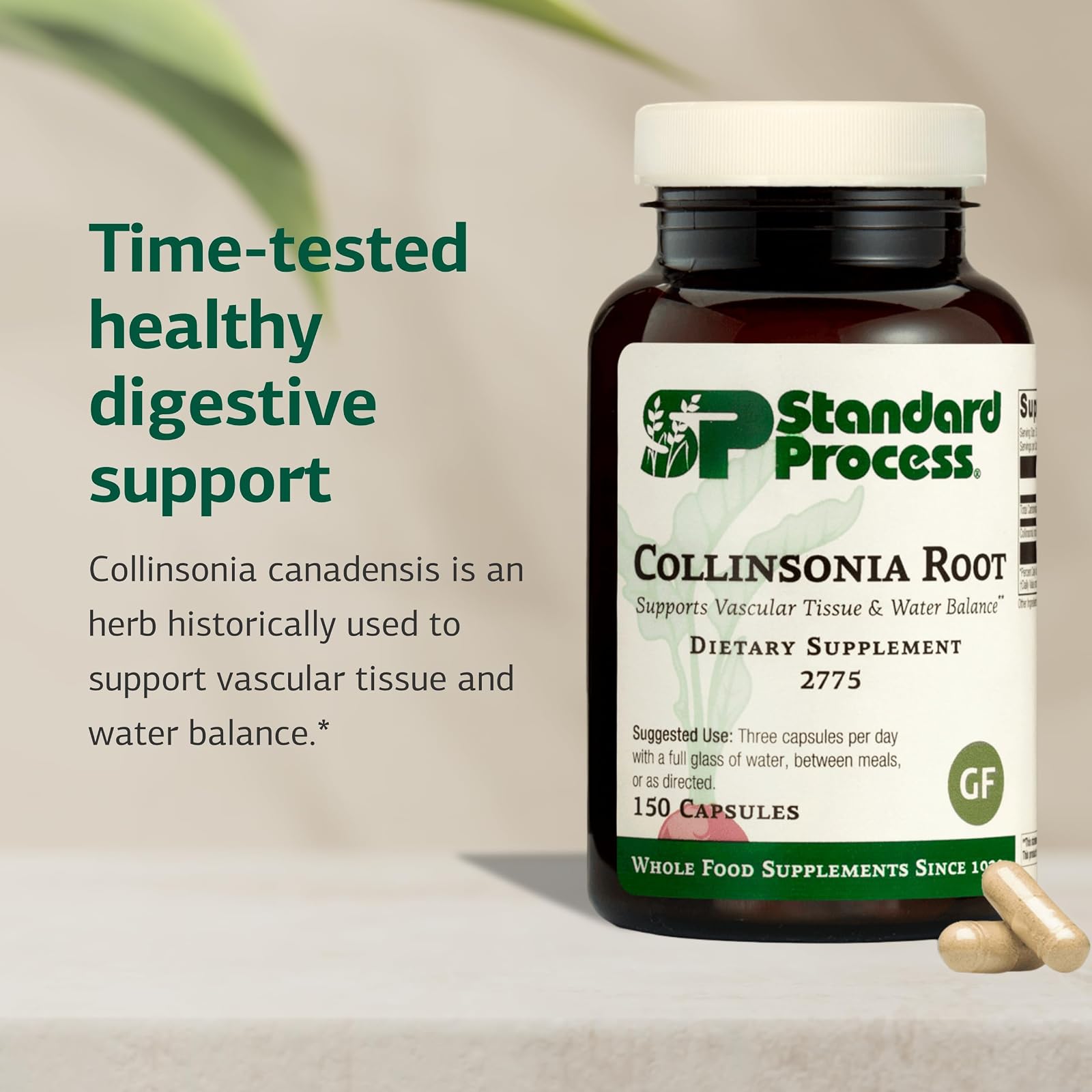 Collinsonia Root for digestive health
