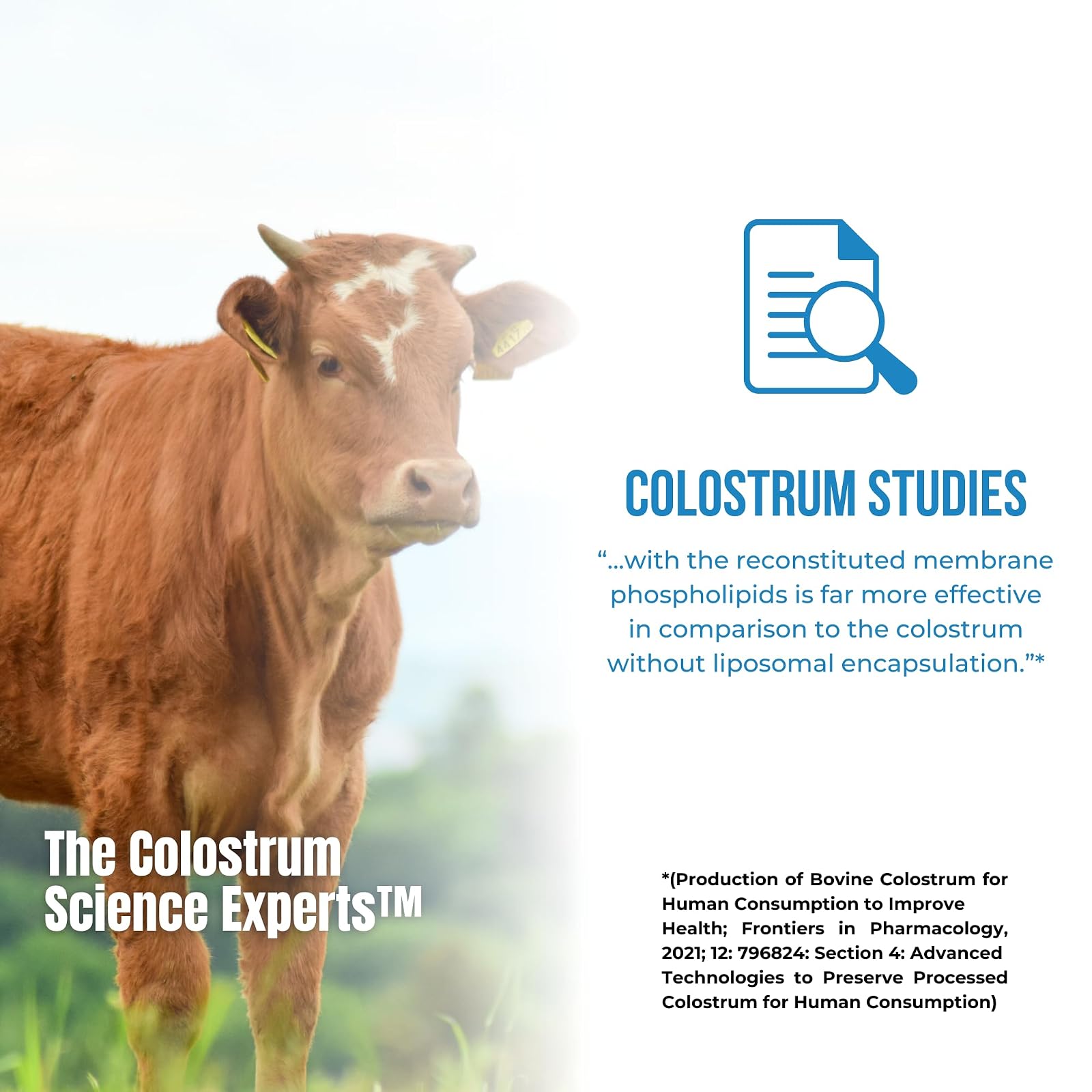 Colostrum-LD multivitamin for men