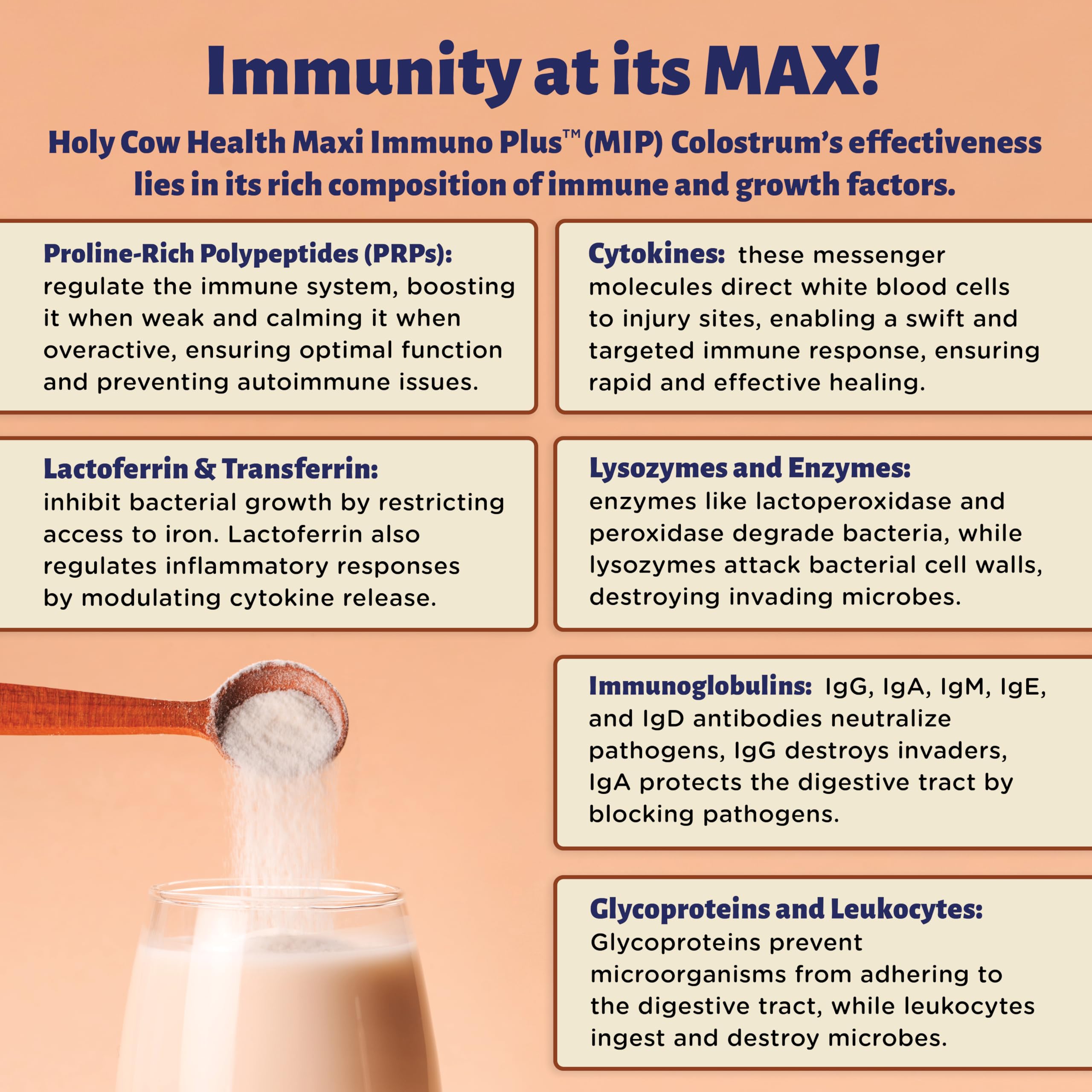 colostrum powder for balanced nutrition