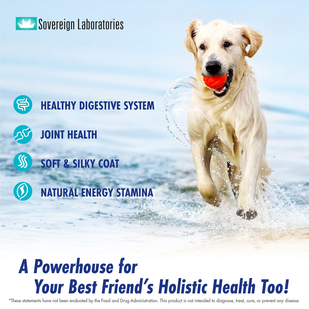 Colostrum powder for digestive health