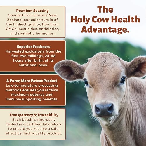colostrum powder for enhanced vitality