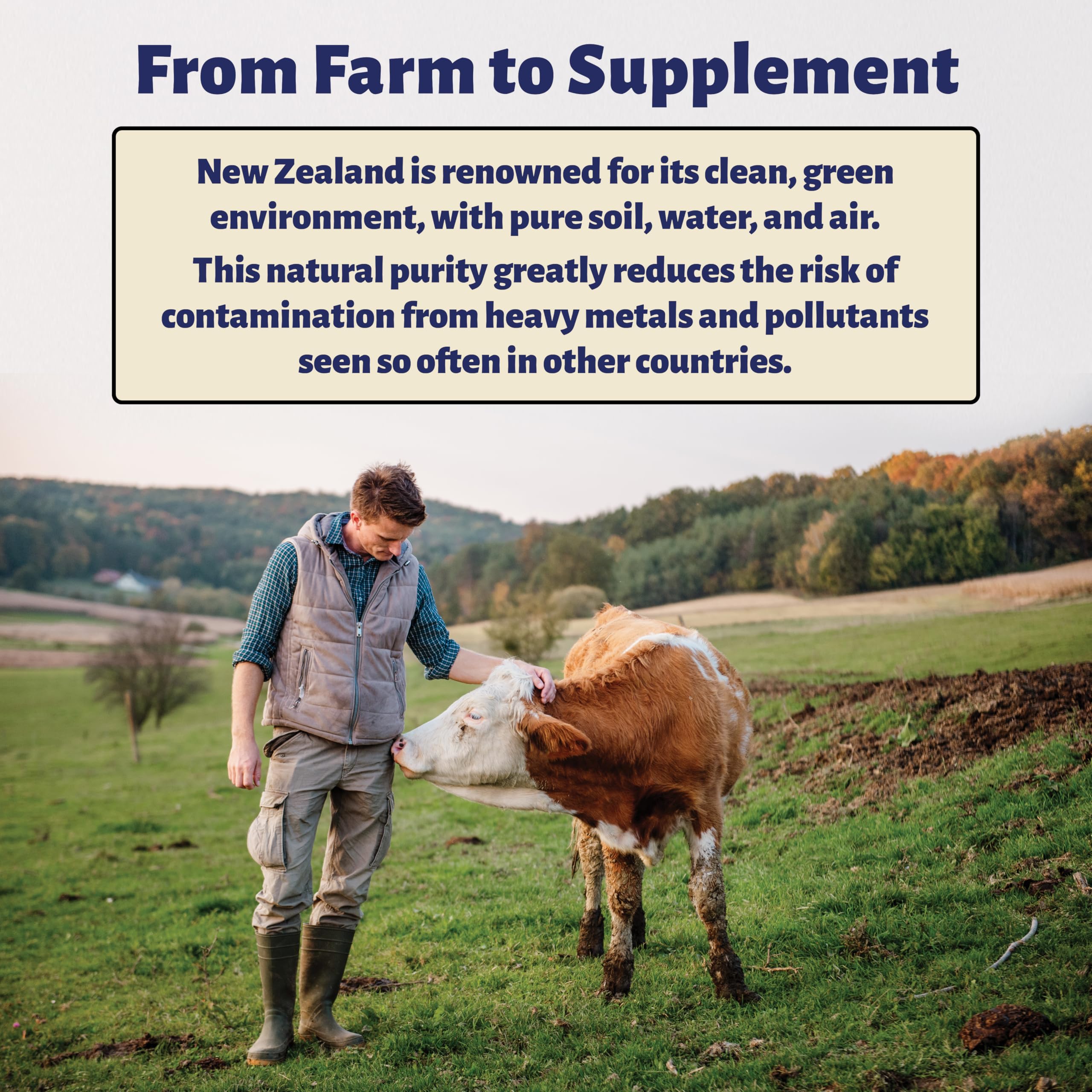colostrum powder for optimal gut function