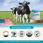 Colostrum powder supports gut health