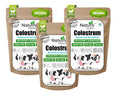 Colostrum premium powder for gut health