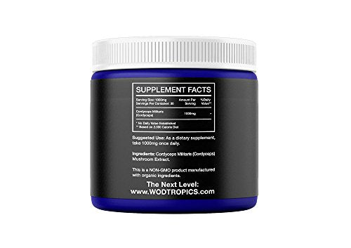 combat fatigue with cordyceps powder