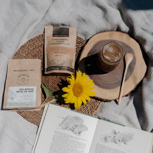 comforting cacao and mushroom blend