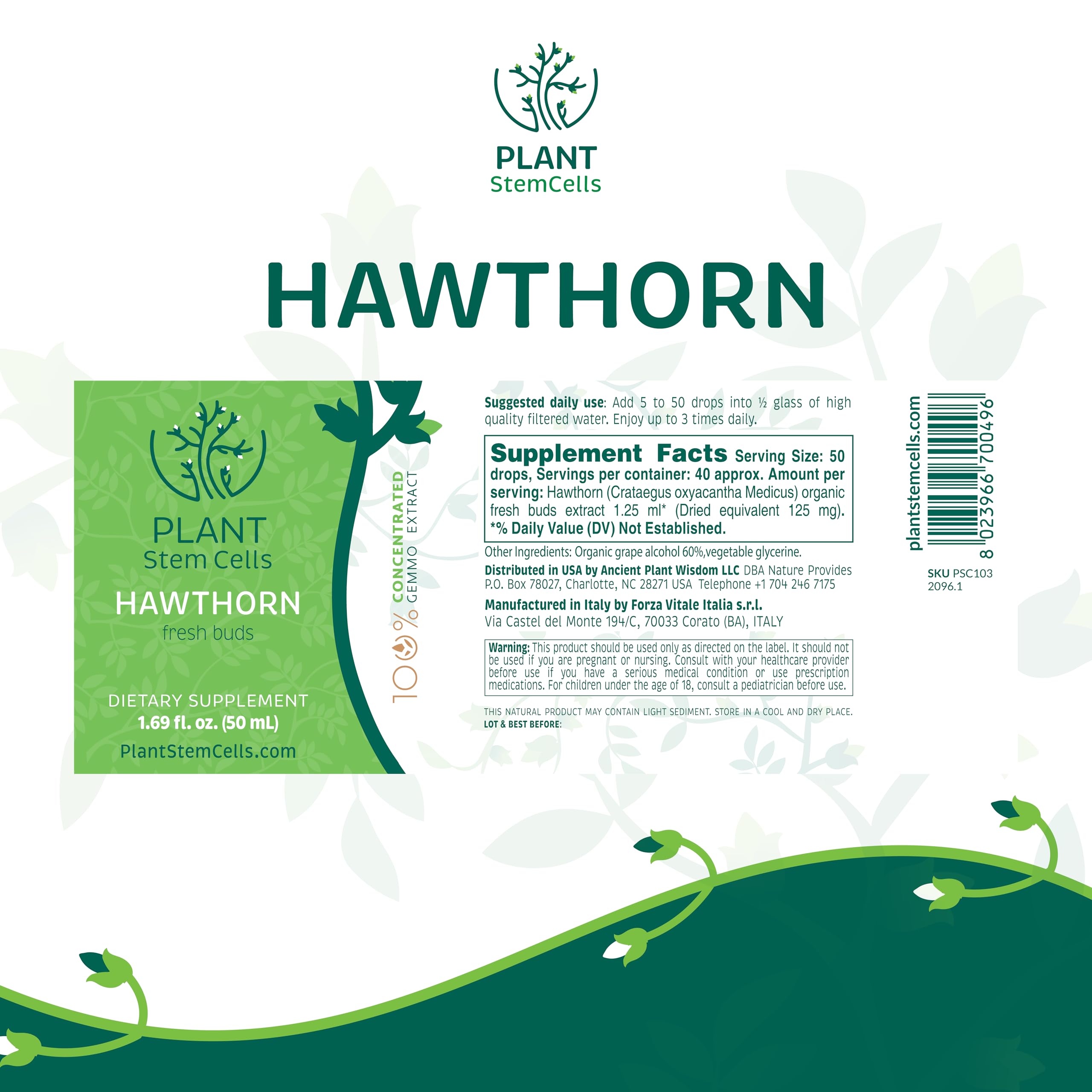 common hawthorn uses in wellness
