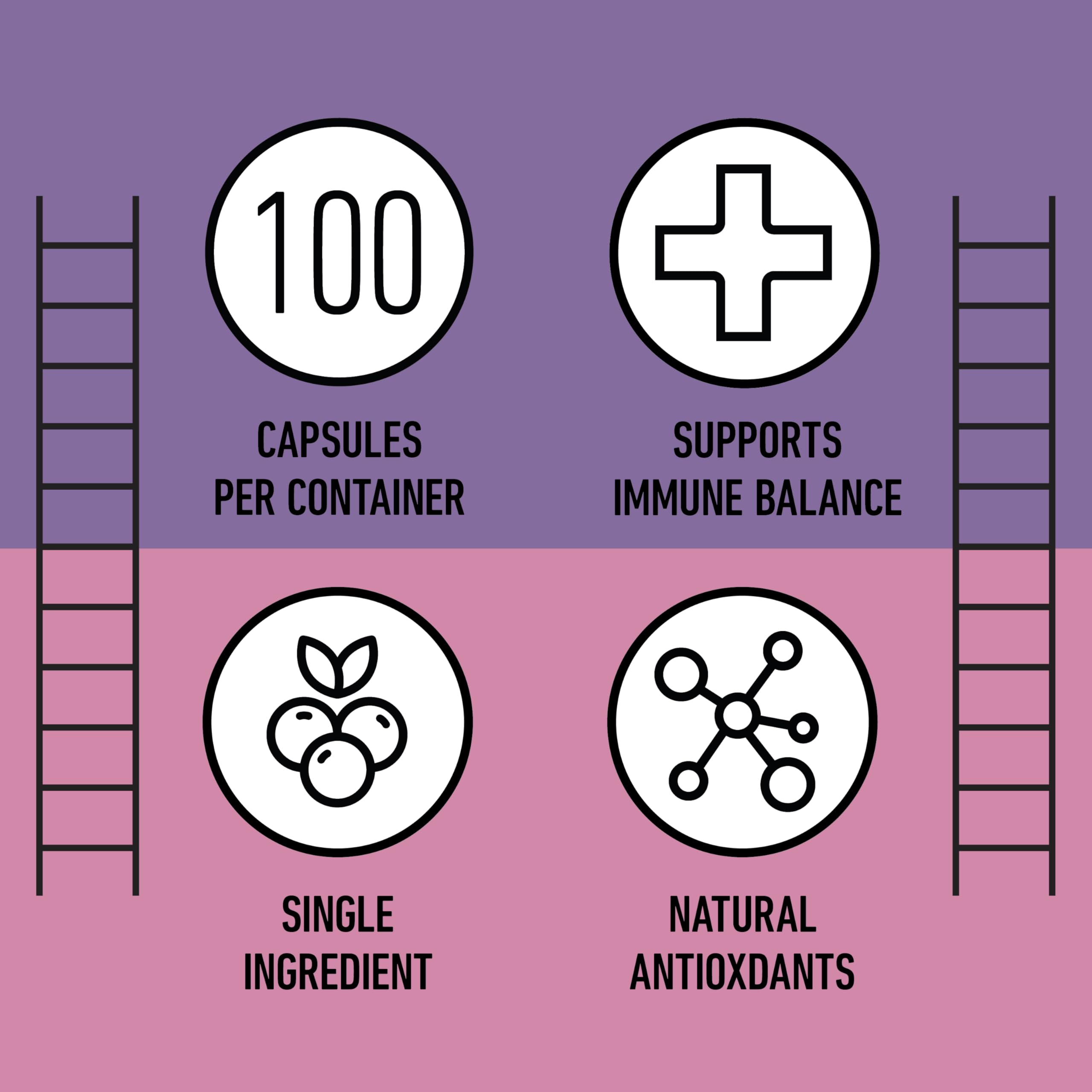 Complete elderberry for holistic wellness