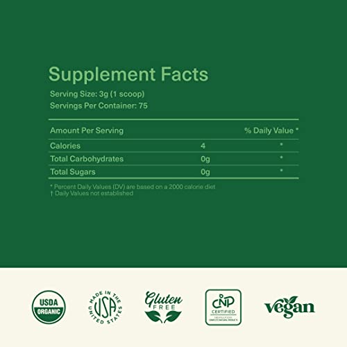 complete kelp powder for healthy lifestyle