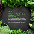 complete men's multivitamin for energy boost