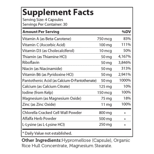 Comprehensive health support for children
