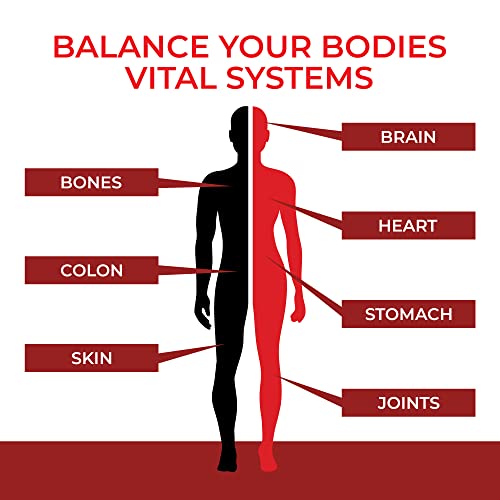 Comprehensive health support in a pack