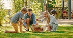 comprehensive immune health vitamin pack