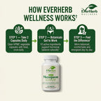 Comprehensive menopause wellness formula