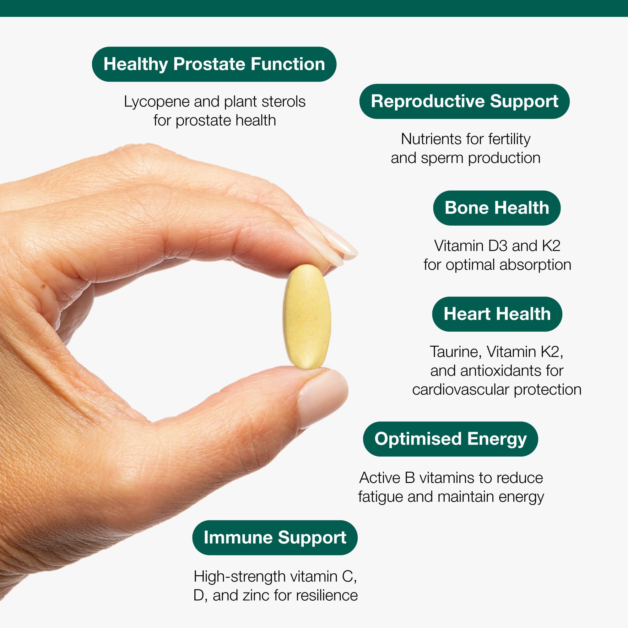 comprehensive nutrition for men