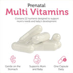 Comprehensive prenatal vitamins formula