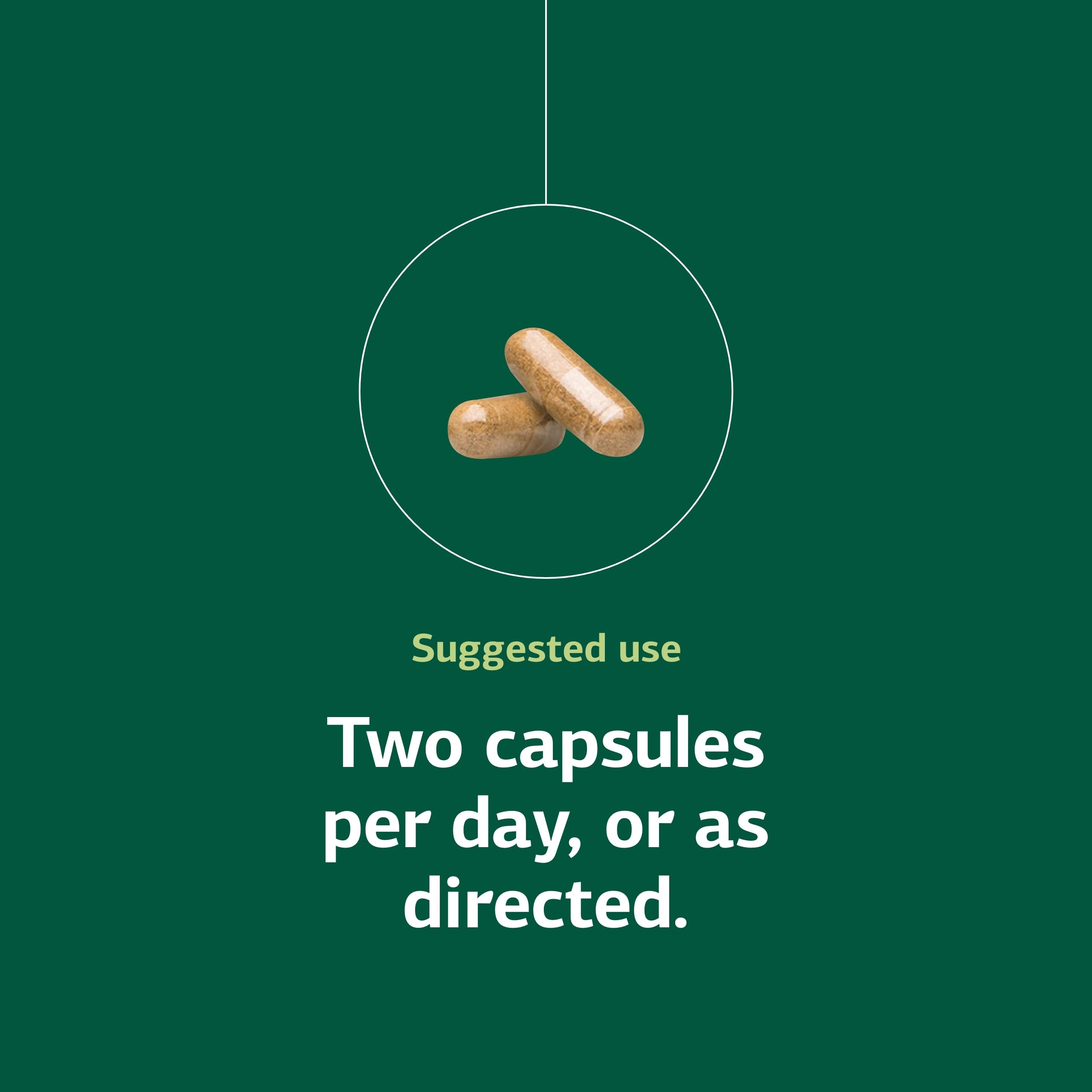 comprehensive vitamin and mineral blend