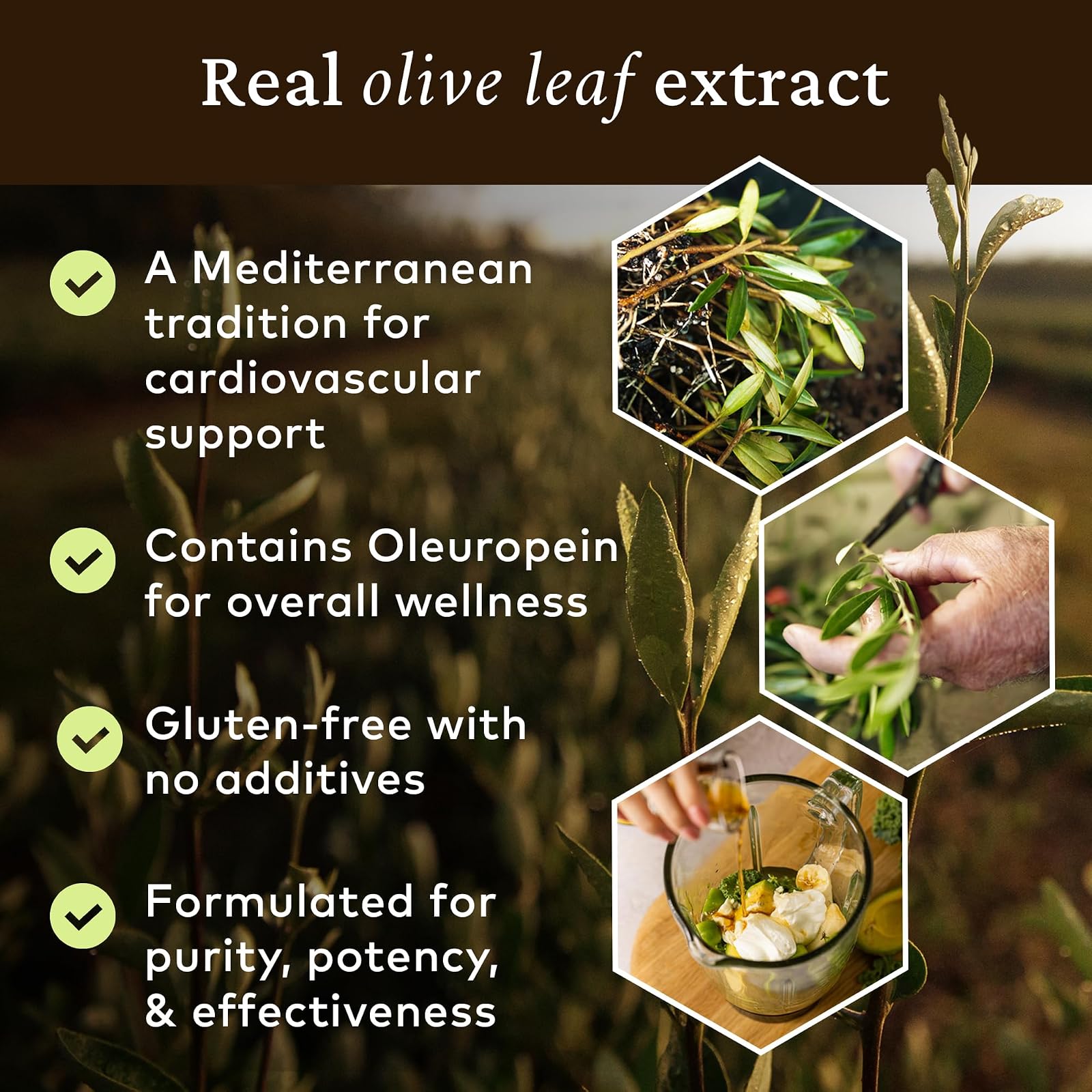 Comvita olive leaf for wellness
