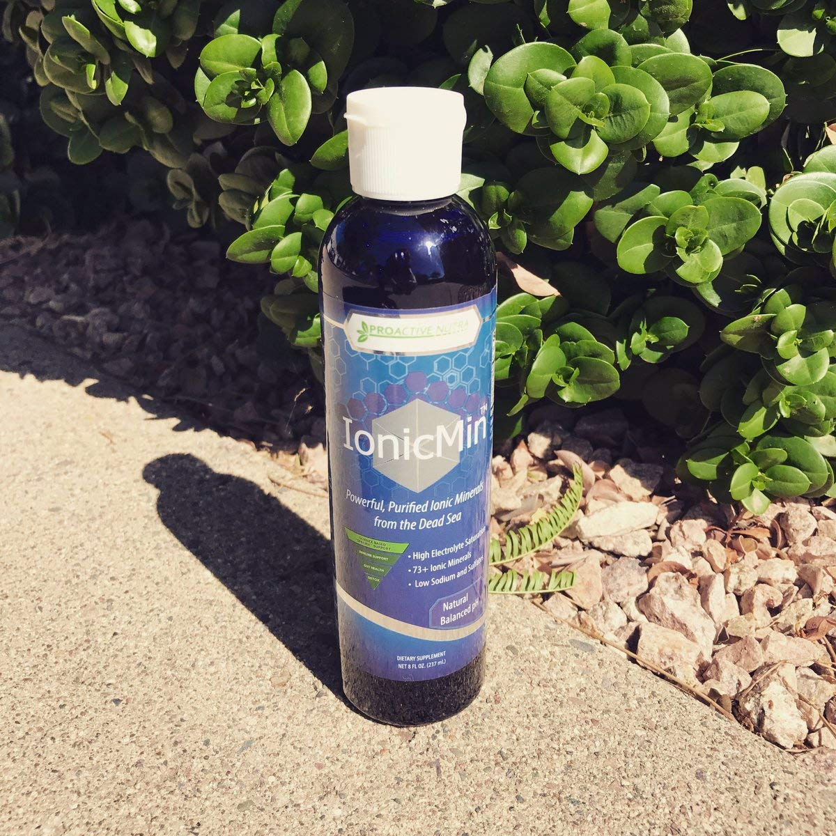 concentrace trace minerals for daily health