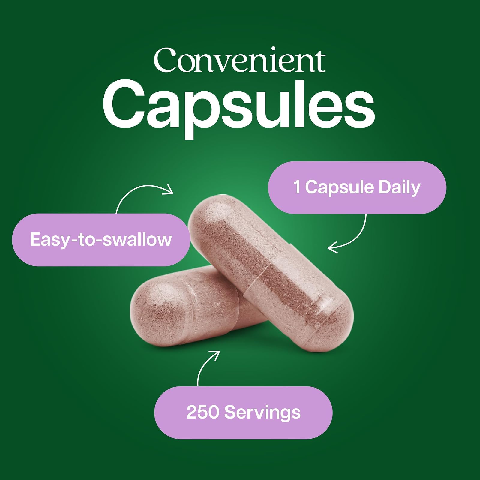 concentrated astragalus root for vitality