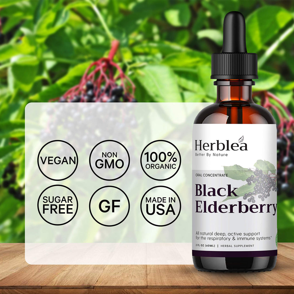 concentrated elderberry syrup for health