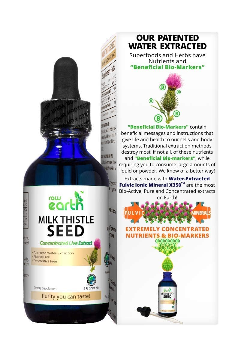 concentrated milk thistle for liver
