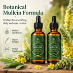 Concentrated Mullein for immune health