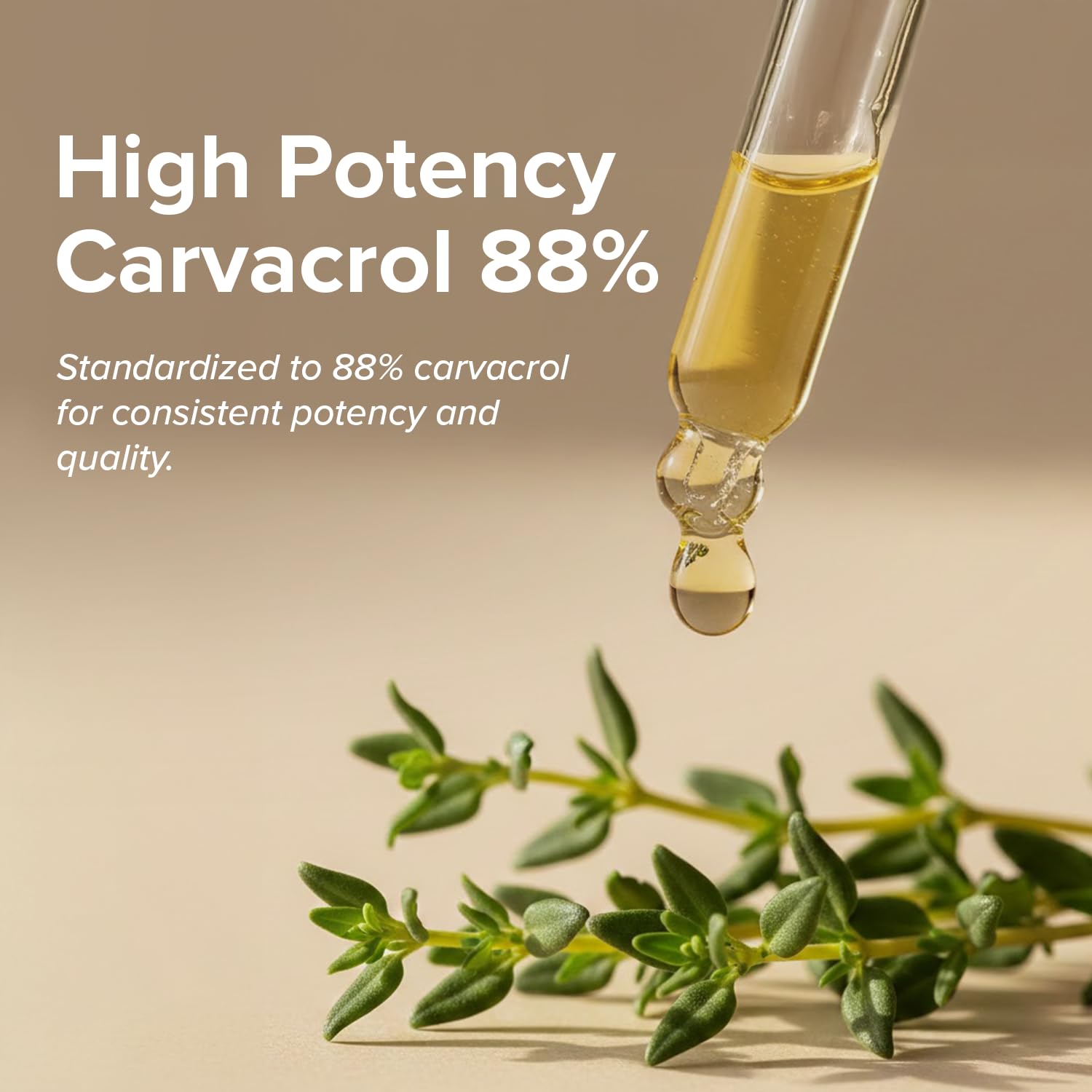concentrated oregano oil benefits