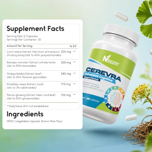 concentration support vitamin and mineral