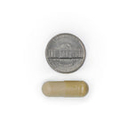 Convenient 100 capsule supply