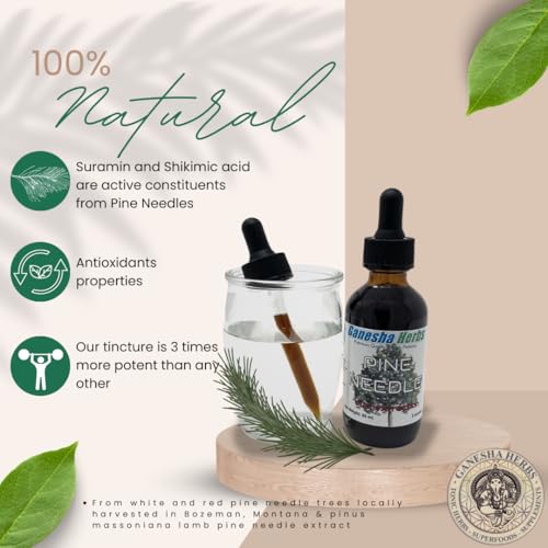 Convenient 2 oz herbal tincture
