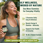 Convenient 60 count sea moss vitamins