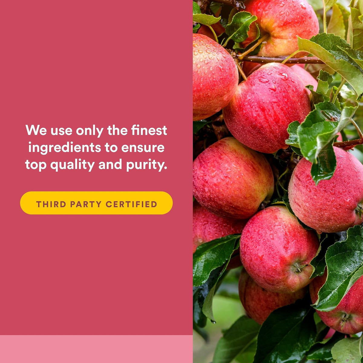 convenient apple cider vinegar supplement