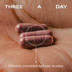convenient beet root supplement for athletes