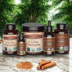 convenient ceylon cinnamon daily dosage